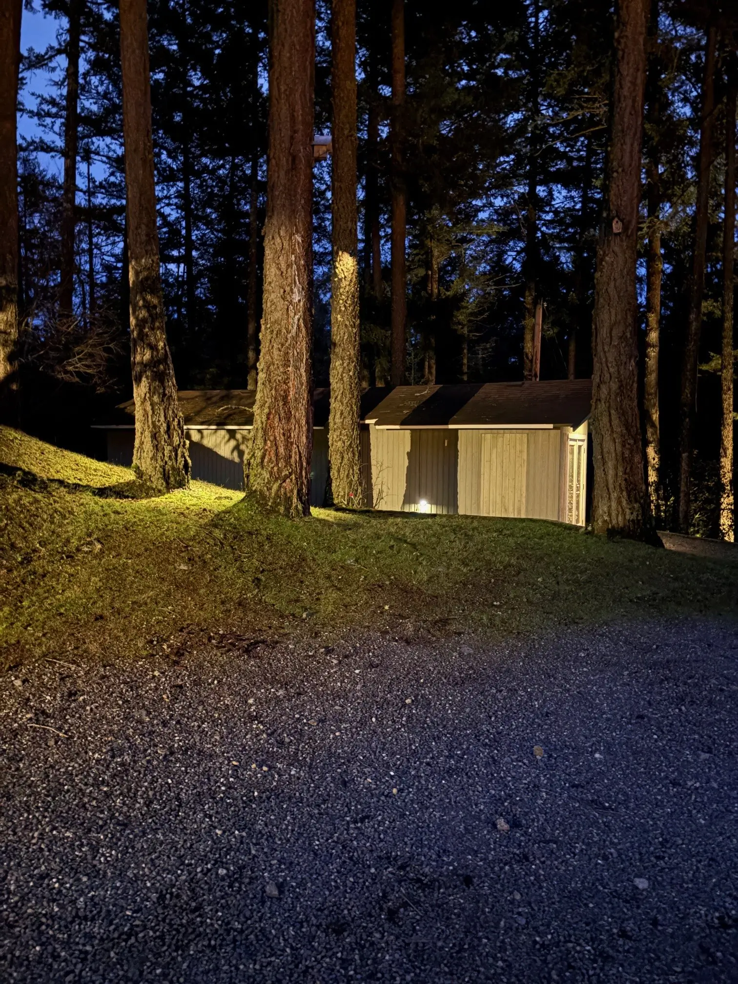 Landscape Lighting Techniques with Grazing | Real Examples